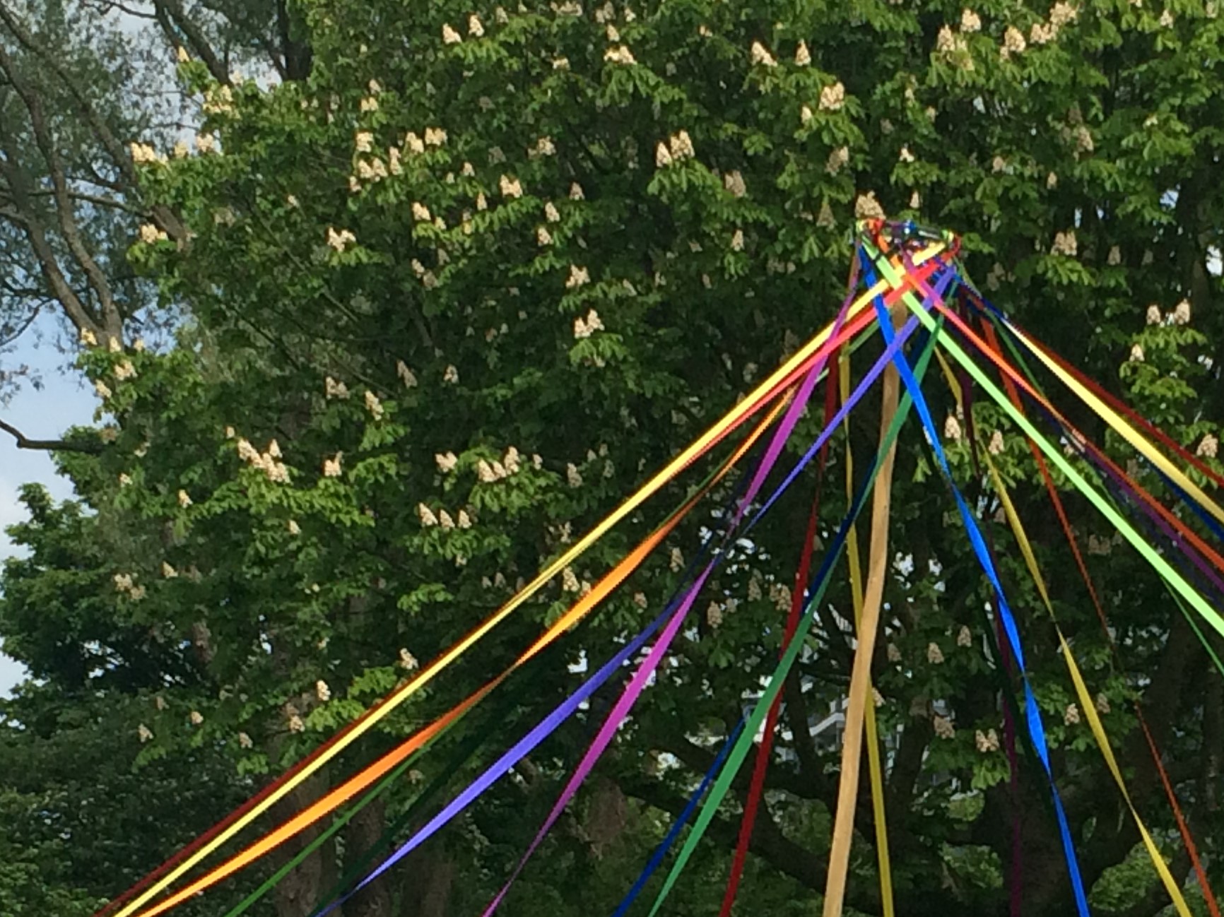 Viering pinkster- en meiboomfeest - Vrije school Vuurvogel